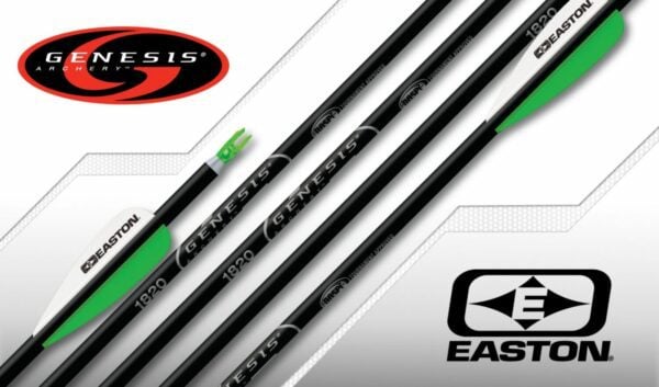 NASP Genesis Arrow - The Most Popular Beginner Arrow in the World ...
