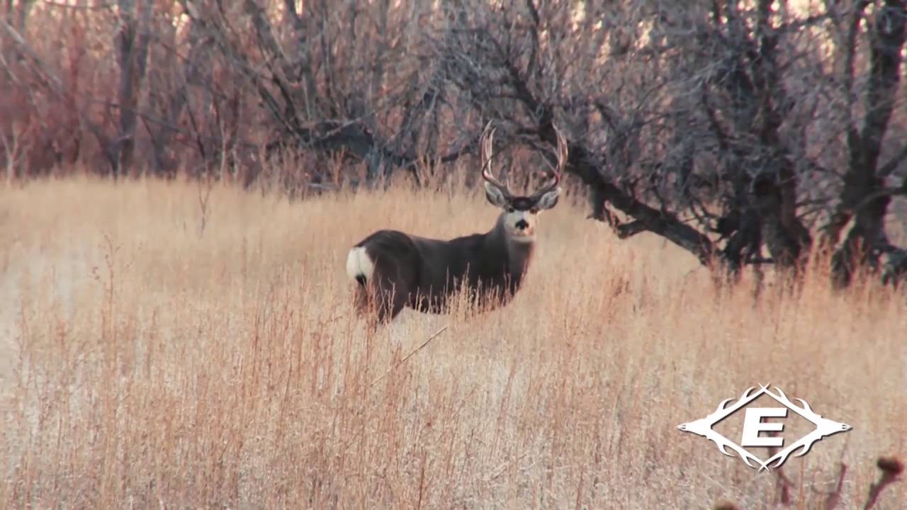 Easton Bow Hunting Highlights With Fred Eichler Youtube Easton Archery