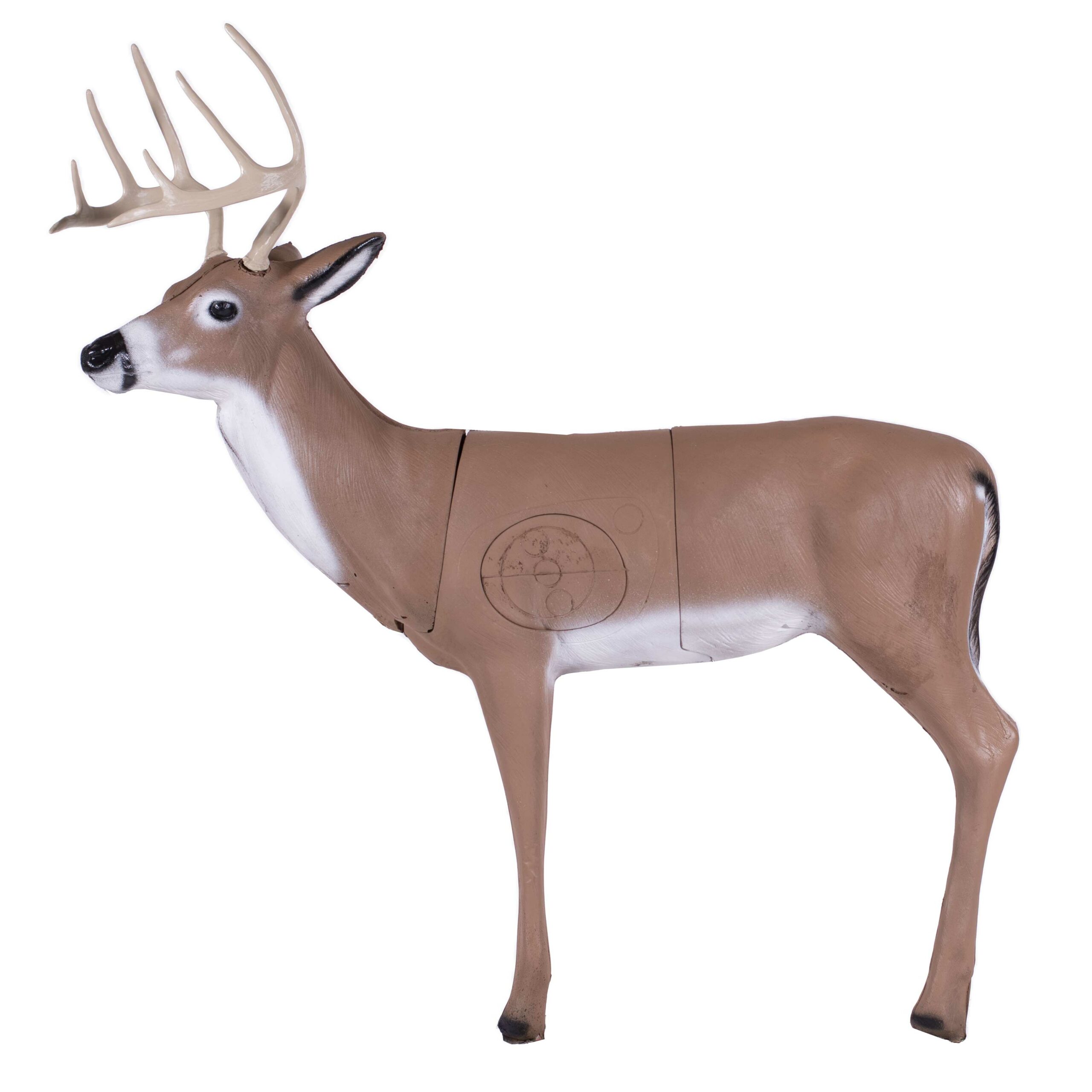 Hill Country Whitetail - Easton Archery