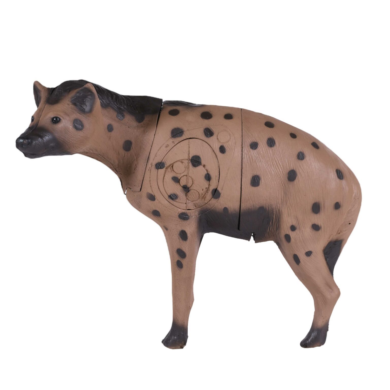 ASA Targets - Easton Archery