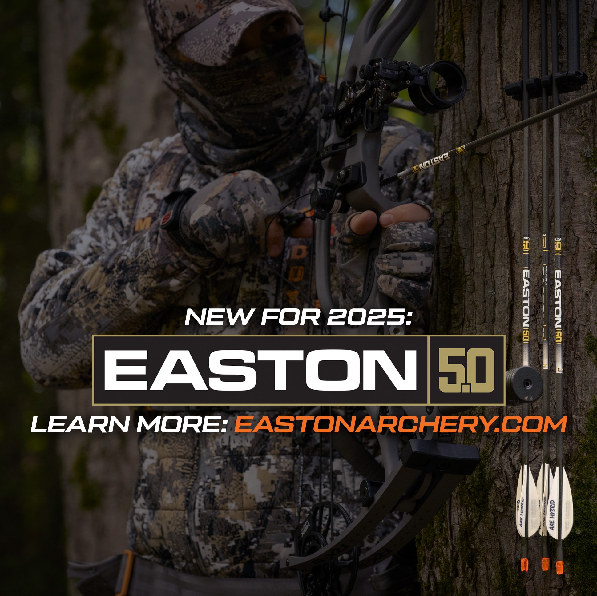 Inserts Archives - Easton Archery